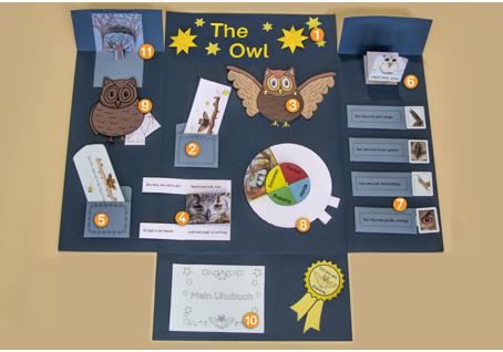 Preschool Owls 30 Printable Types Of Owls Preschool Learning Game