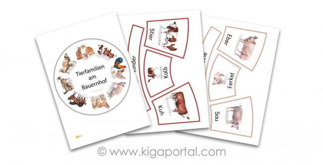 KiGaPortal