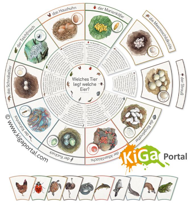KiGaPortal
